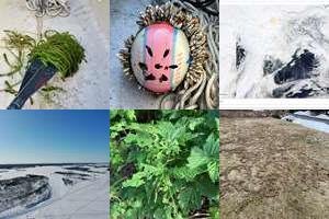 LEO Webinar June 6th, 2023 - Local Environmental Observer (LEO) Network