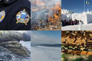 One Health Group - Spring 2019 - Local Environmental Observer (LEO) Network