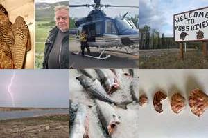 One Health Group - Summer 2022 - Local Environmental Observer (LEO) Network